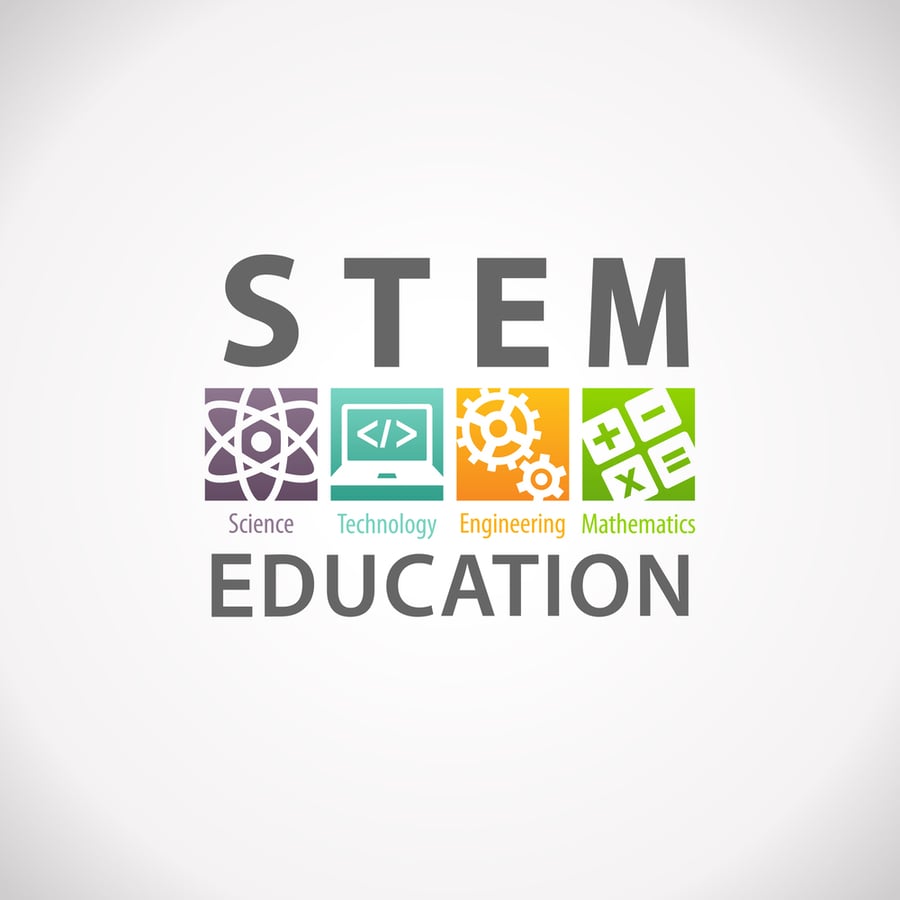 What Is A STEM Teacher? What They Teach And How To Become One