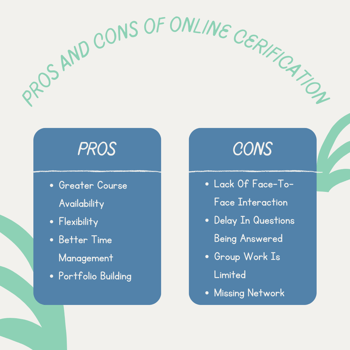 Is A Web Centric Alternative Certification Program Better?